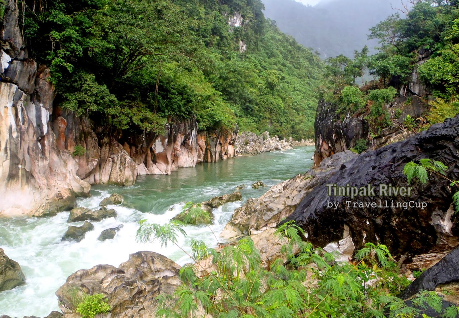TravellingCup: Mt. Daraitan | Tinipak River