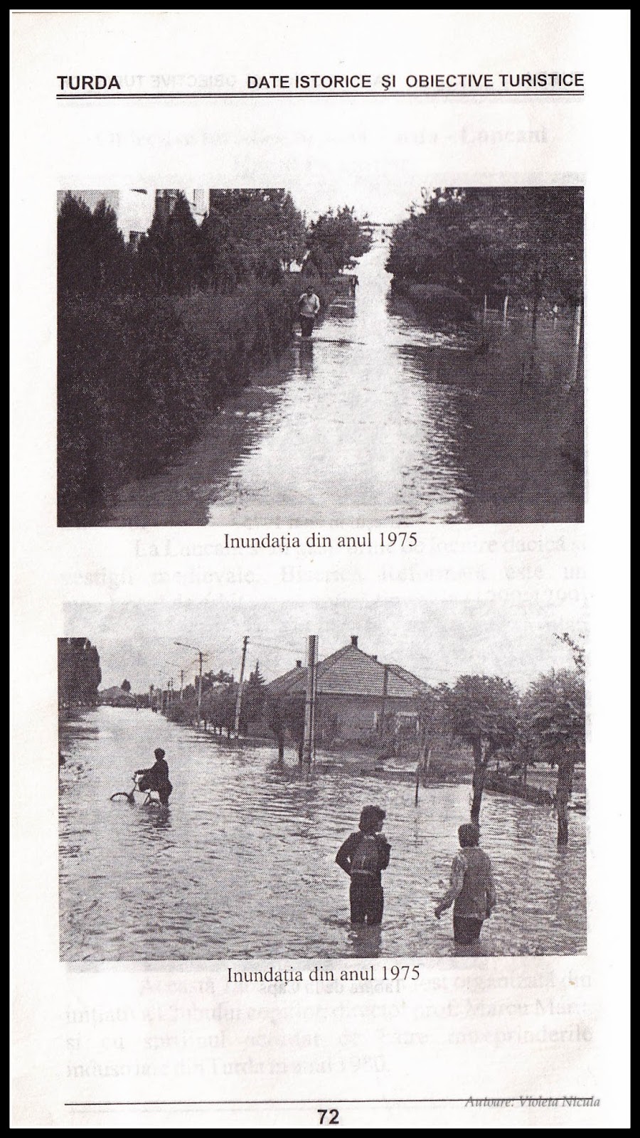 Lumea văzută din Turda: Turda - Raul Aries - informatii