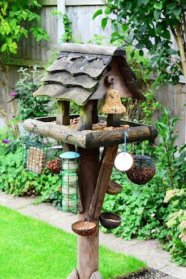6 Easy Steps To Bird Feeder Setup