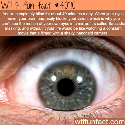 30 Amazing And Unbelievable Random Facts That Will Blow Your Mind ...