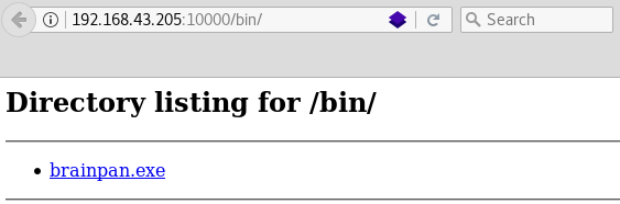 JagSkap: BRAINPAN - Buffer Overflow