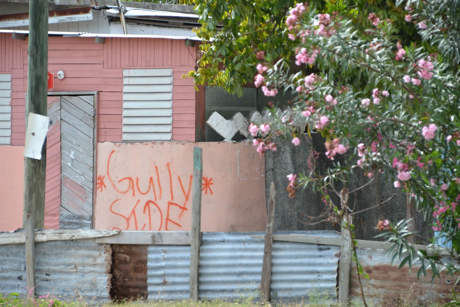 SoHo Monet: Visuals 101: Colours of Jamaica