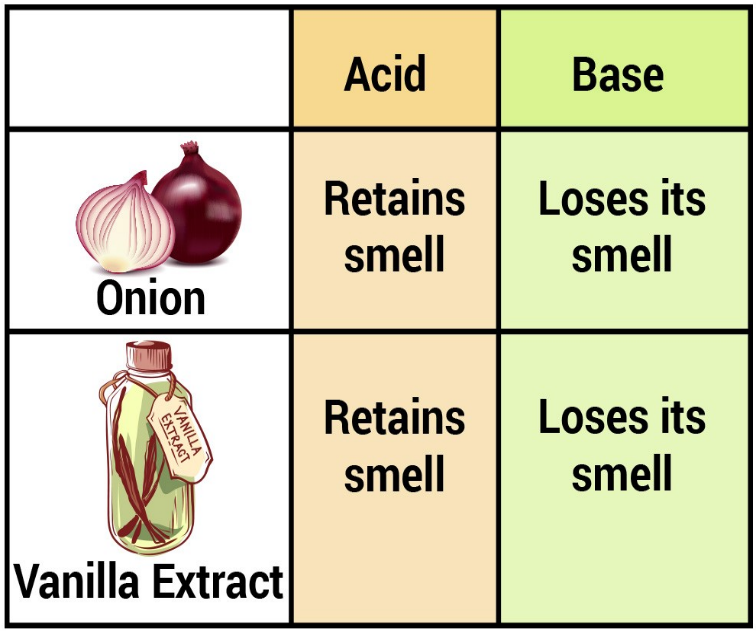 What Are Olfactory Indicators Class 10th INCATOR What Are Olfactory Indicators Class 10th INCATOR