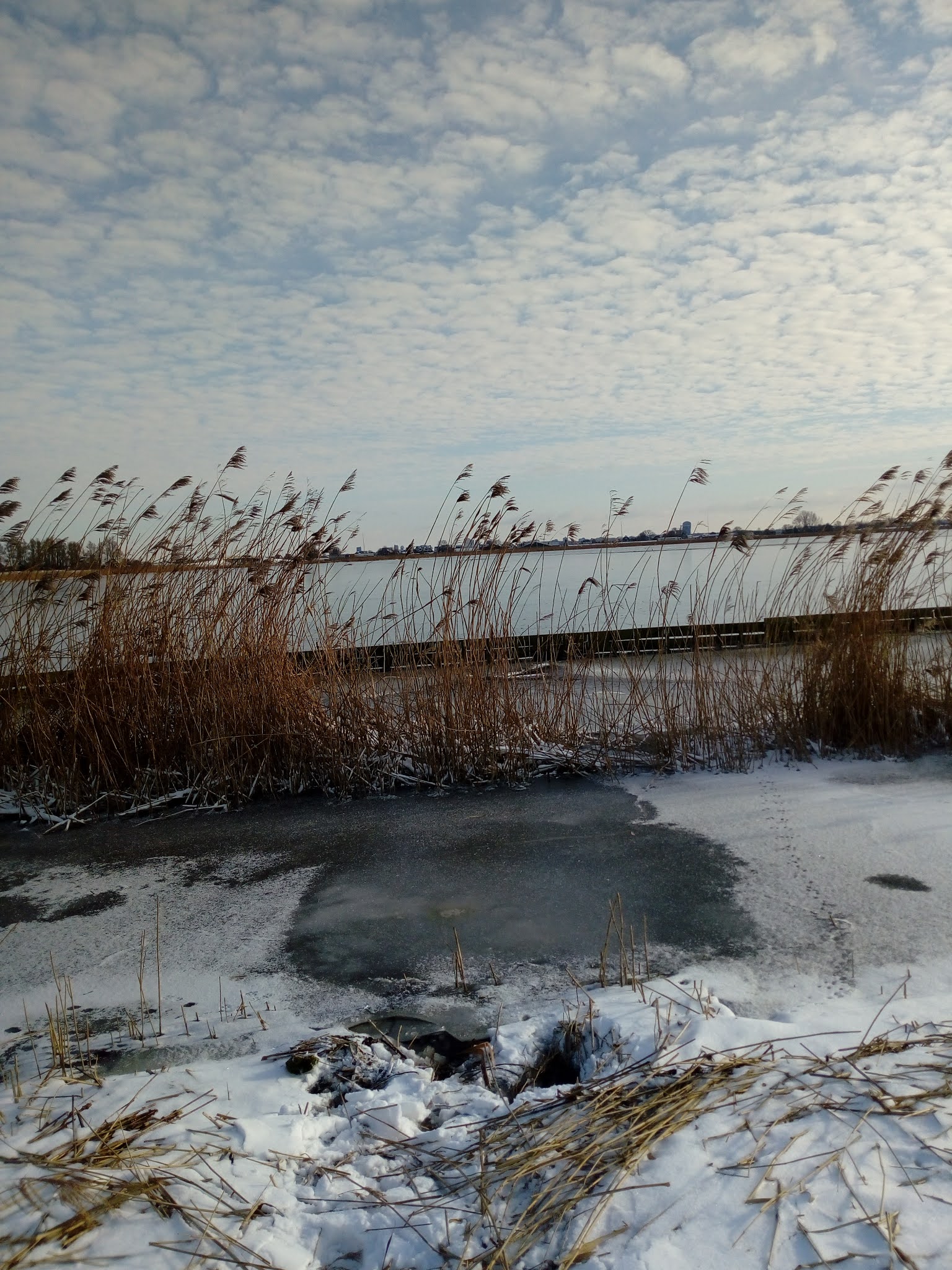 Bert Breed: Sneeuwduinen en zwart ijs