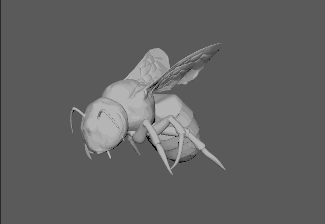 Nathan Jones - Digital Artist Blog: Metallic Carpenter Bee (Xylocopa ...