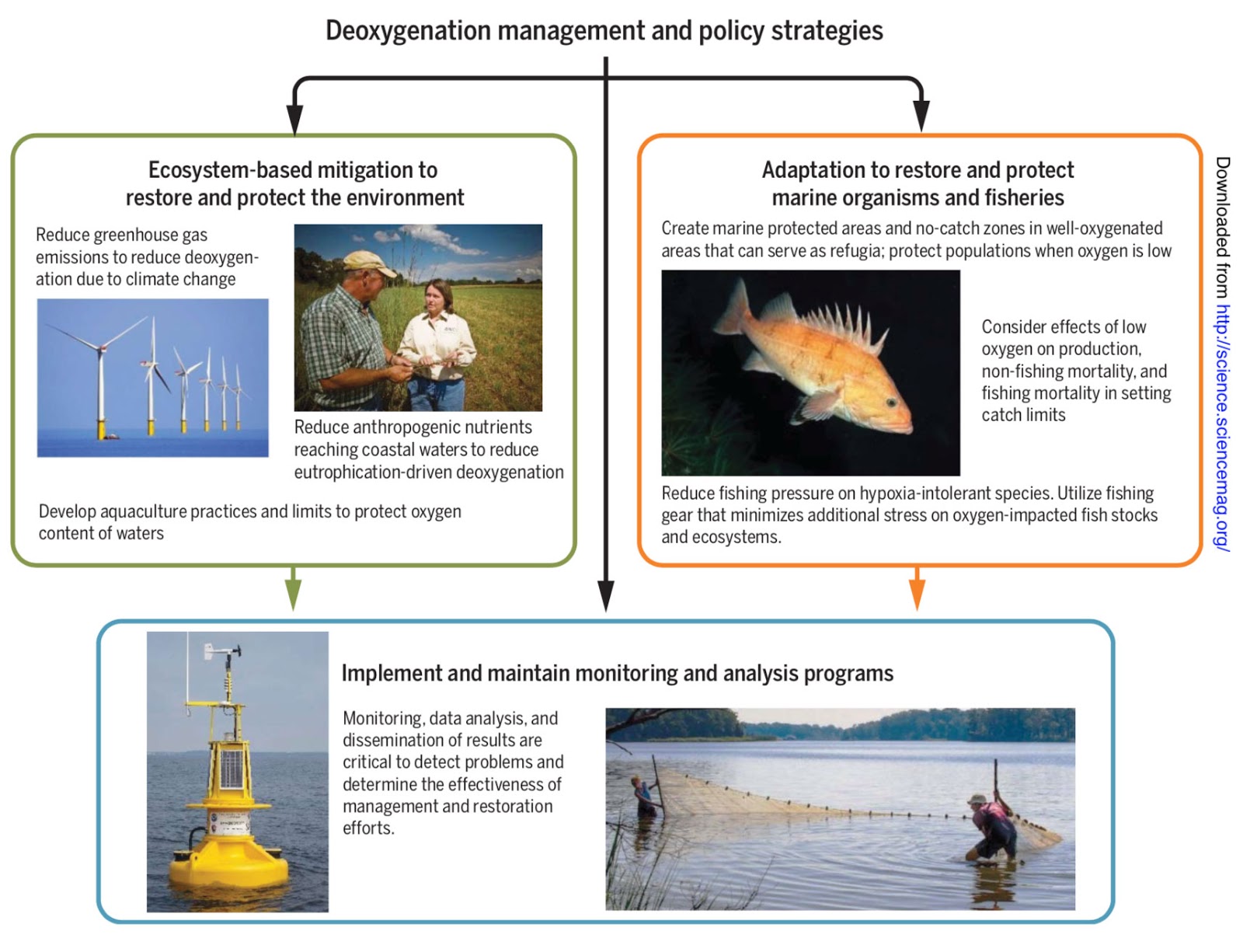 The Great Change: Waterboarding Flounder