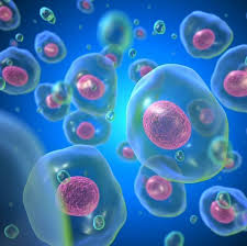 o que é citologia - Manual da Biologia