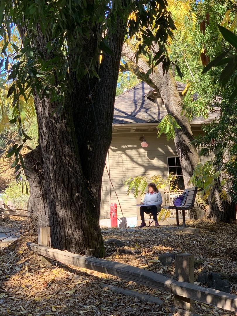 Paintsites Blog: Weekend Paintsite, November 16, Folger Estate at ...