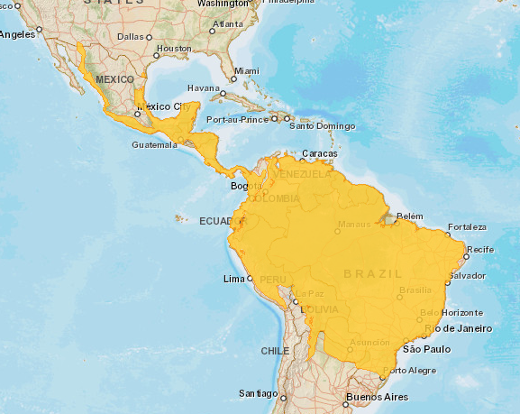 BIO227Fall2015.07: The Ocelot