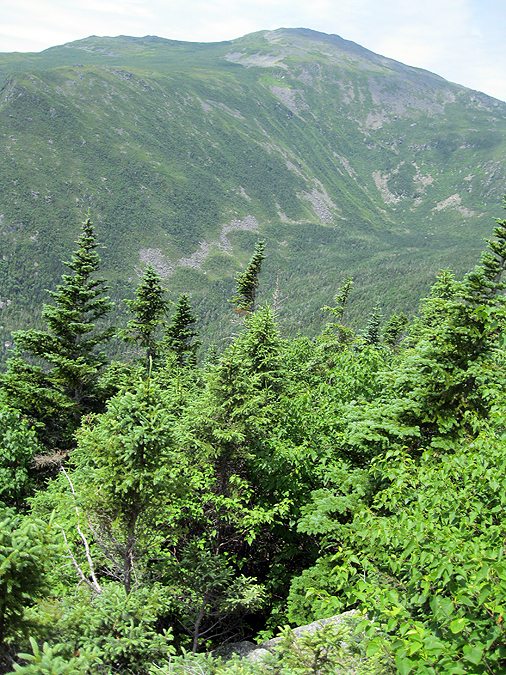 Hiking in the White Mountains: The Abandoned Adams Slide Trail