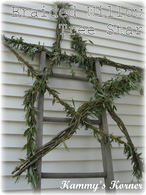 Kammy's Korner: Braided Willow Tree Star