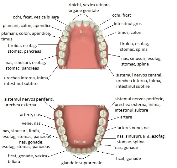 Paramedicina tratamente aura: Cum putem fi ajutati pentru DANTURA