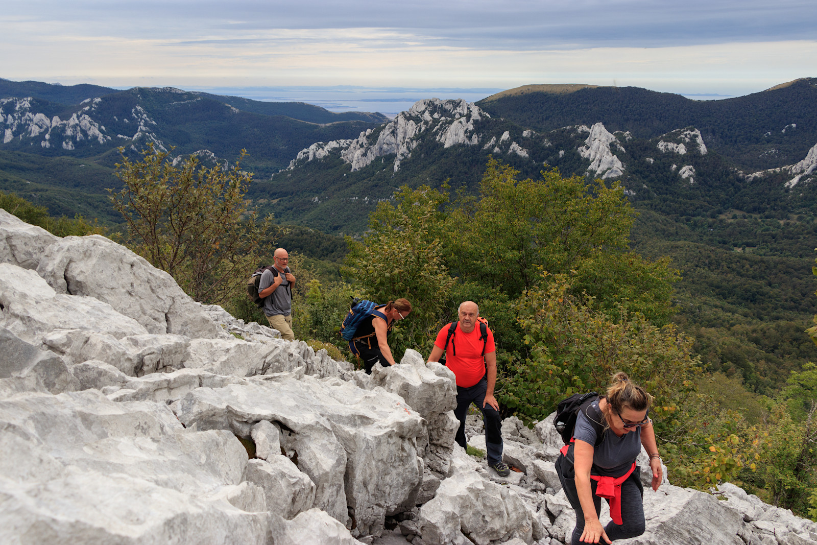 PICUGI POREČ - KAMENJAK RAB: DABARSKI KUKOVI – KOKIR