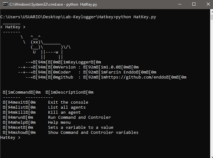 Instalar Keylogger HatKey