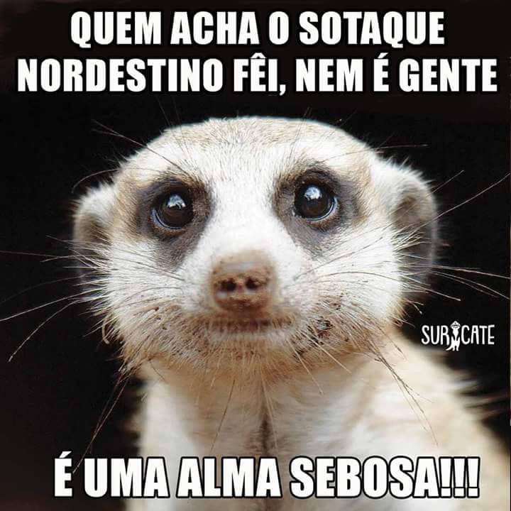 O GÊNERO TEXTUAL MEME