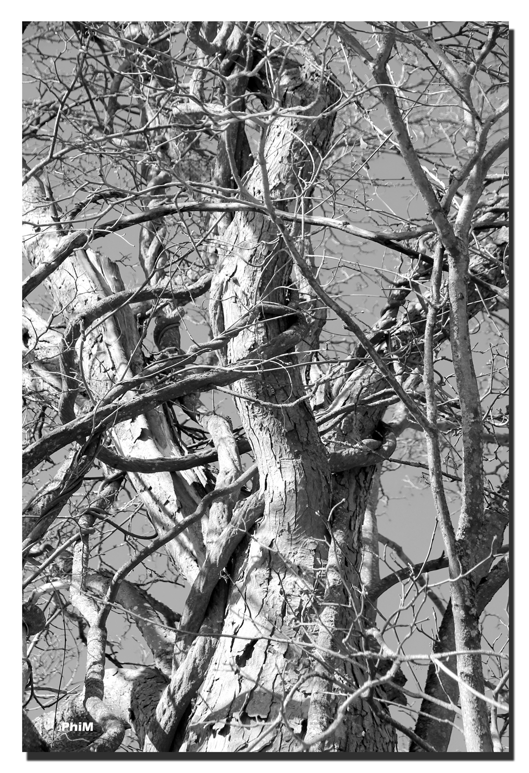 JPHIM PHOTOS: Etre branché