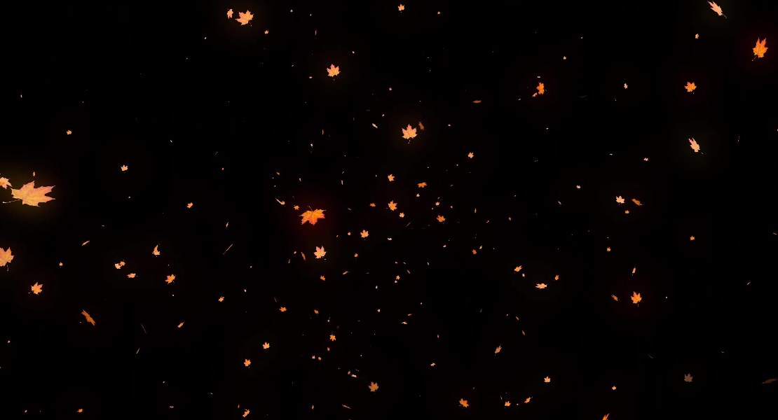 Free Download New background leaf particles animation video footage ...