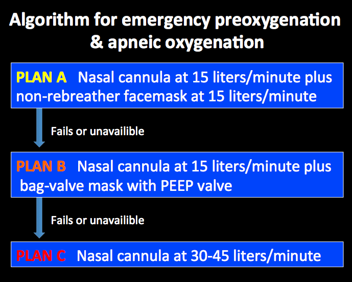 Preoxygenation & apneic oxygenation using a nasal cannula