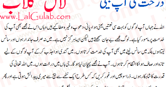 Darakht Ki Aap Beeti Urdu Tree Ki Aap Biti For Class 1 2 3 4 5 ~ Urdu ...