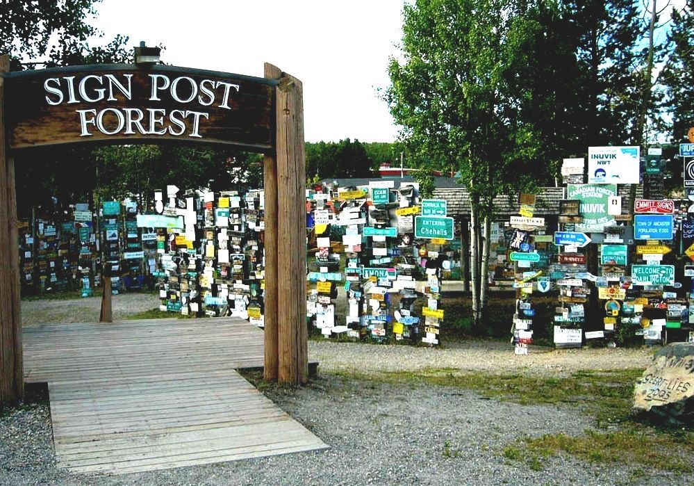 Sign Post Forest - Forest Signs