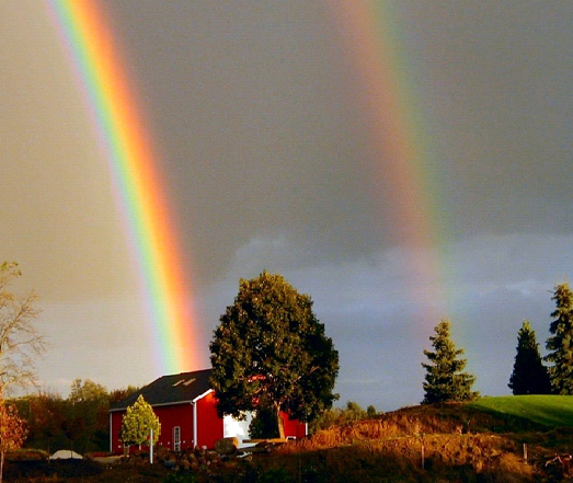 physic lesson: Understanding in total internal reflection of light