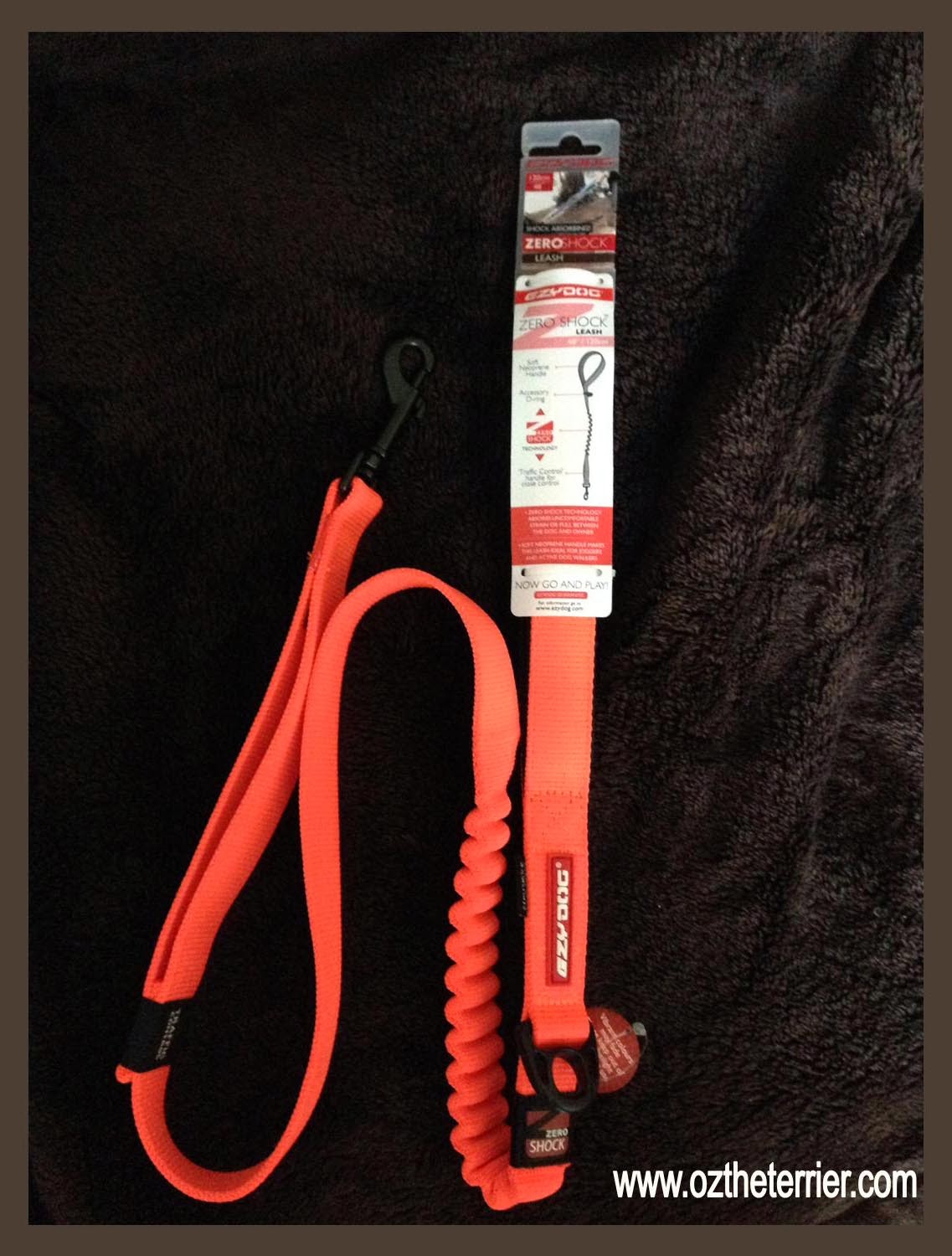 Walking is Ezy with EzyDog Zero Shock Leash | Oz the Terrier ...