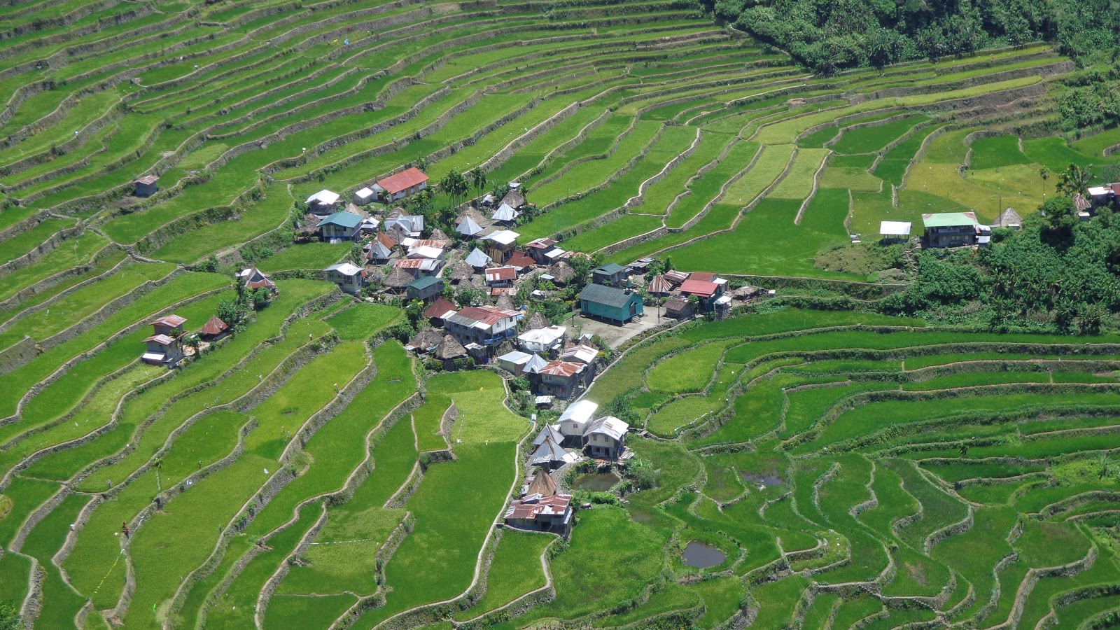 Travel Guide Budget and Itinerary for Batad - The Wandering Juan