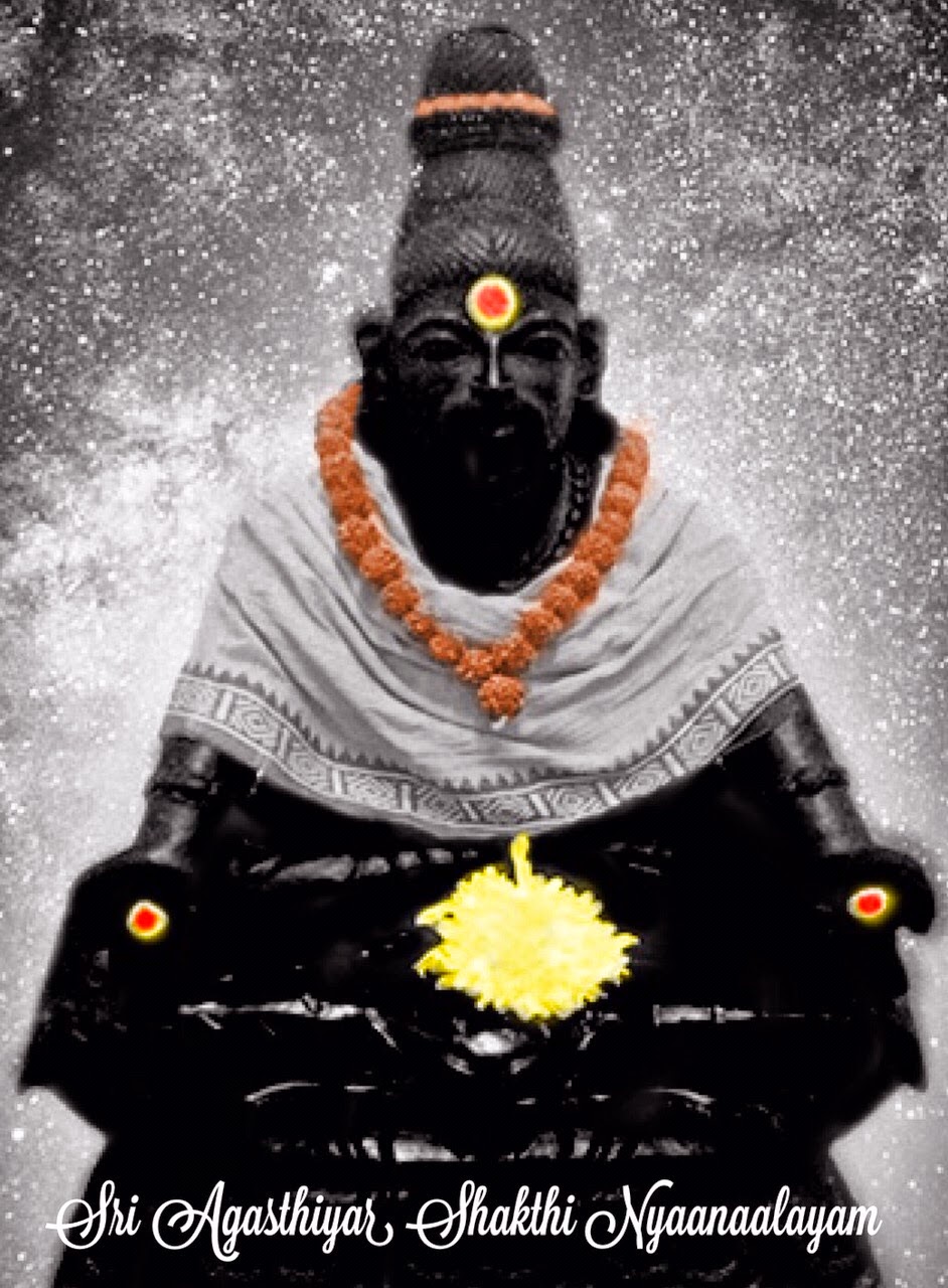 SIDDHA HEARTBEAT: AGATHIYAR MAKES HIS PRESENCE KNOWN PART 2