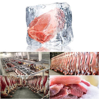 Preservation of Meat by Drying, Smoking, Chilling, Salting, Irradiation ...