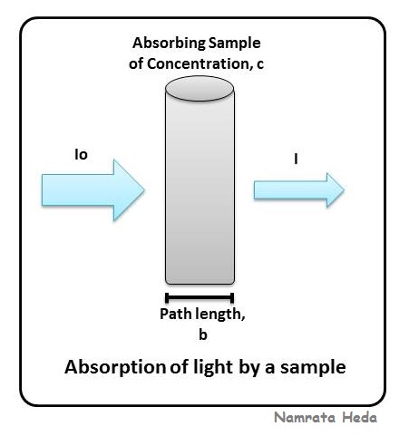 B for Biology: Spectrophotometry - Principles