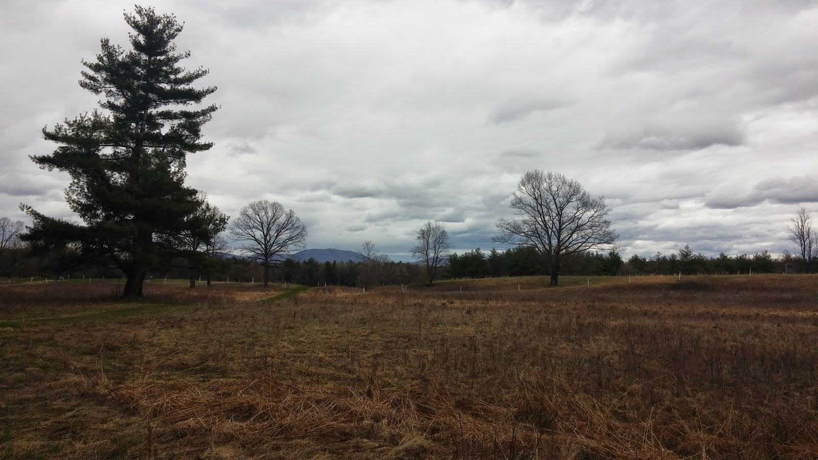 Saratoga National Battlefield Road - Wistful Wanderings