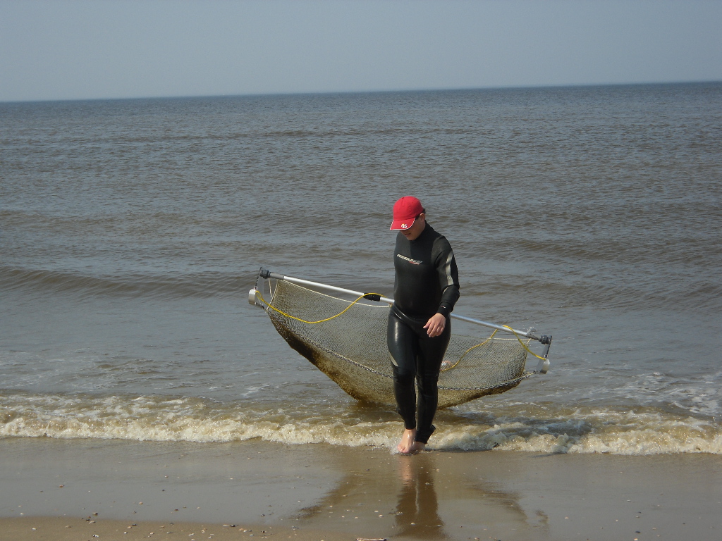De vissende Mol: garnalenvissen