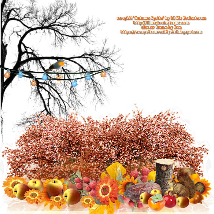 Escape From Reality Blog: FTU 'Autumn Sprite' Cluster Frames LMB