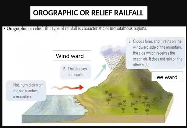 What do you know about RAIN?????? - WELCOME TO NURUTHEINN's BLOG