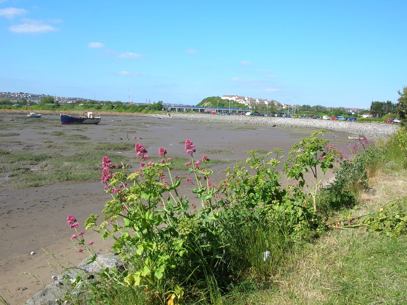A lifetime of Islands: Island 207 - Barry Island, Glamorgan, Wales