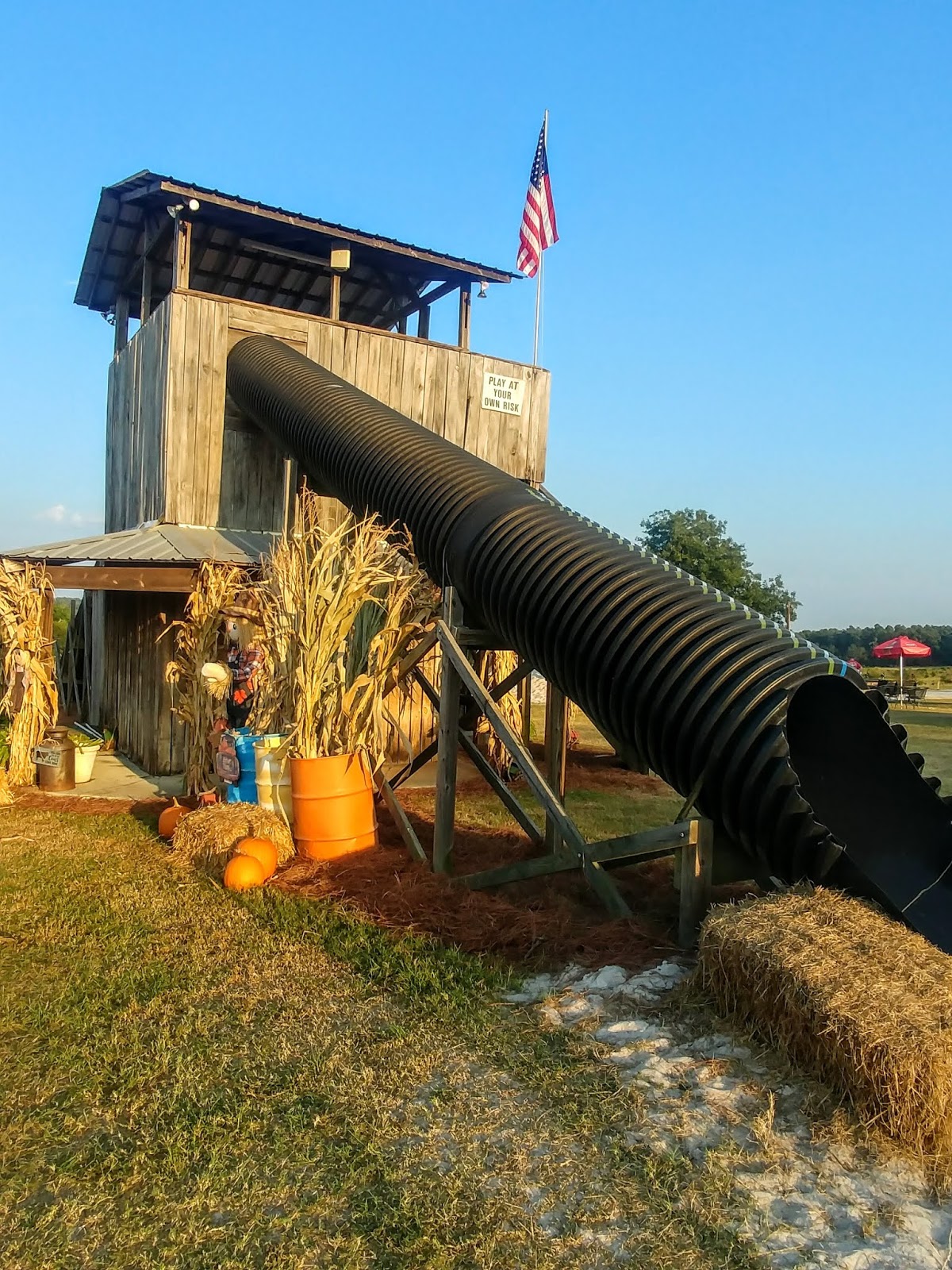 Another Mile Another Destination Blog: Steed’s Dairy Farm and Corn ...