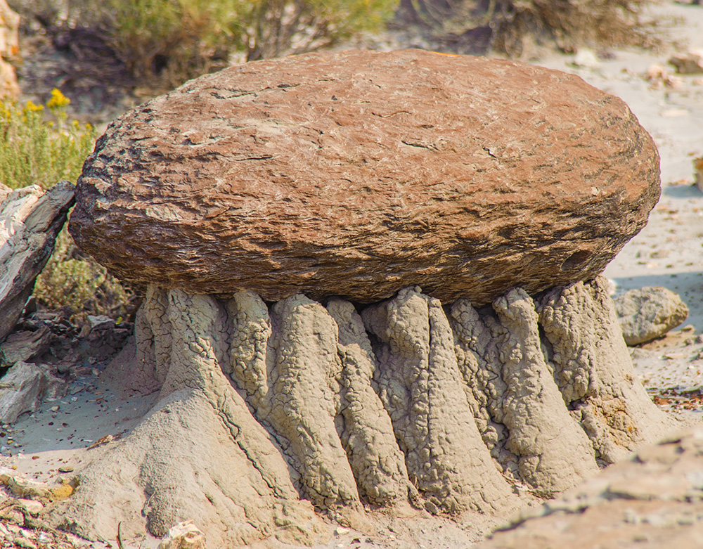 Merikay's Dream : Theodore Roosevelt National Park, Part 1