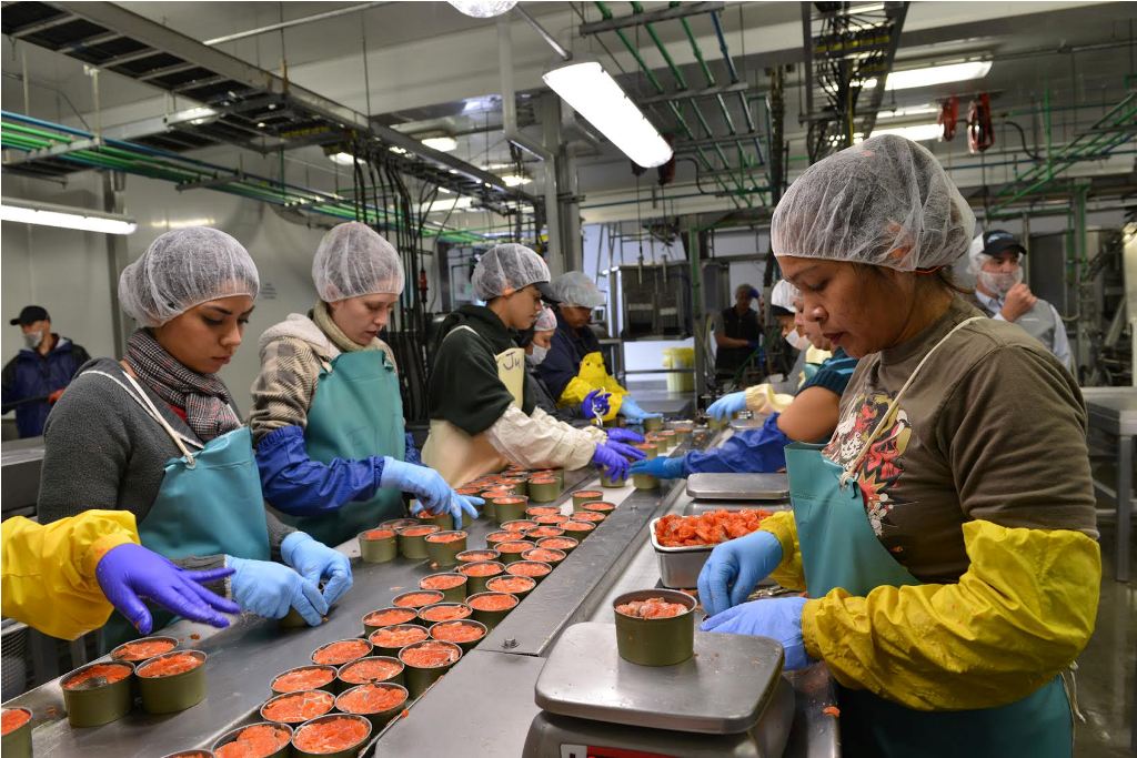 Crab Meat Supplier, Crab Canning Factory, Crab Farming, Crab Meat From ...