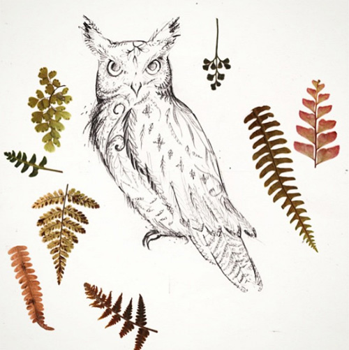 My Owl Barn: Pressed Fern Leaf Illustrations by Helen Ahpornsiri