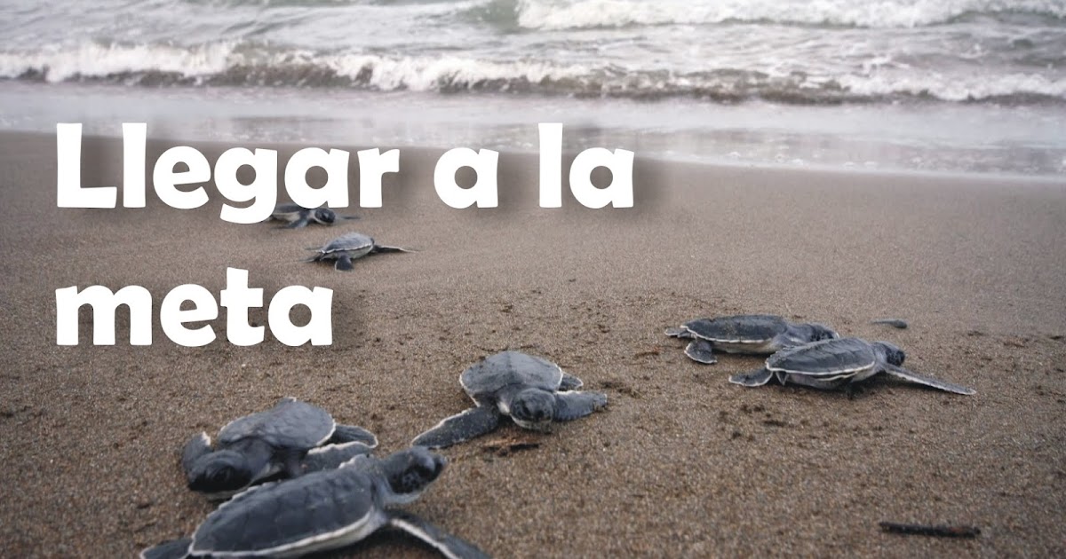 Conociendo la Biblia...: Llegar a la meta