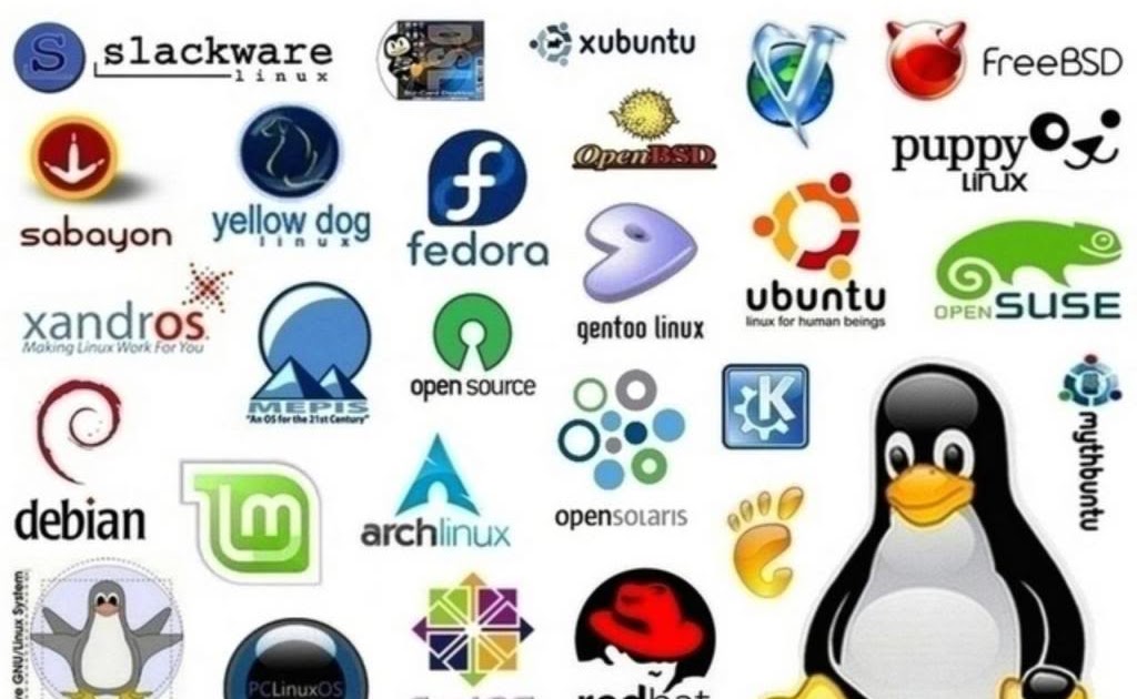 Emanuel Goette, alias Crespo: Distros Linux 2020 Emanuel Goette, alias Crespo: Distros Linux 2020