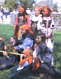 The Homeschoolers Guide to the Galaxy