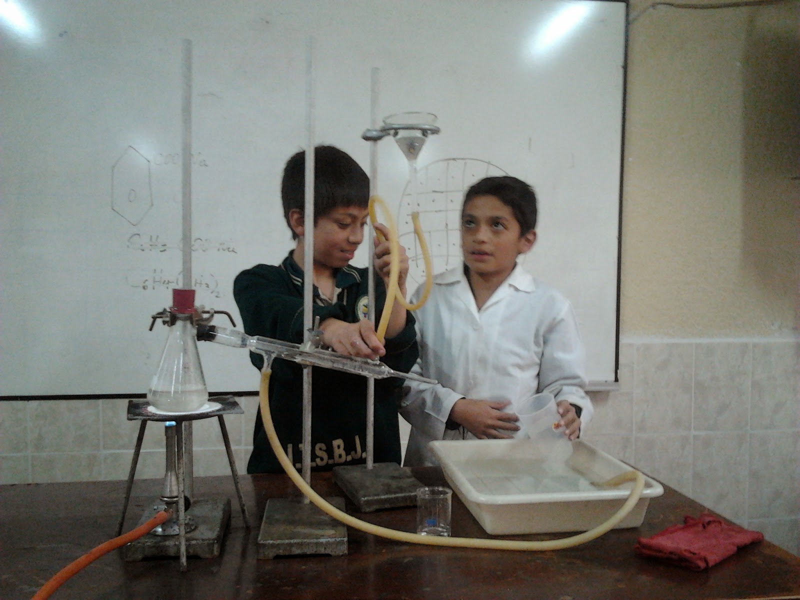 LABORATORIO DE BIOLOGIA QUIMICA Y CIENCIAS NATURALES: RECUERDITOS DEL LABORATORIO