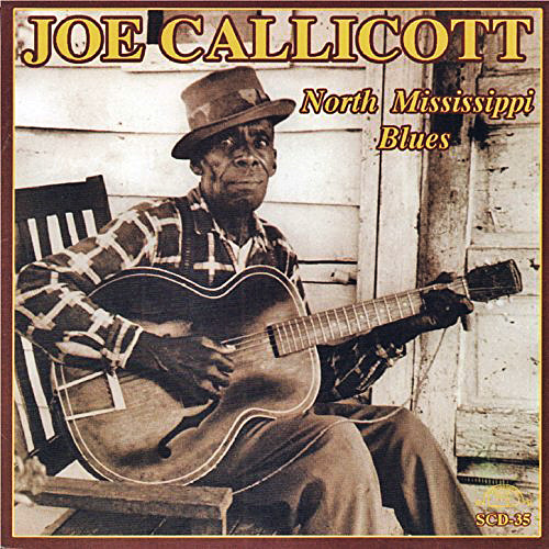 Fare Thee Well Blues by Joe Callicott