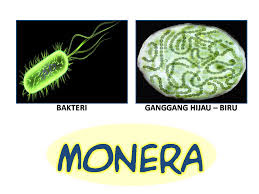 Klasifikasi Makhluk Hidup (3): Klasifikasi Makhluk Hidup Sistem 5 ...