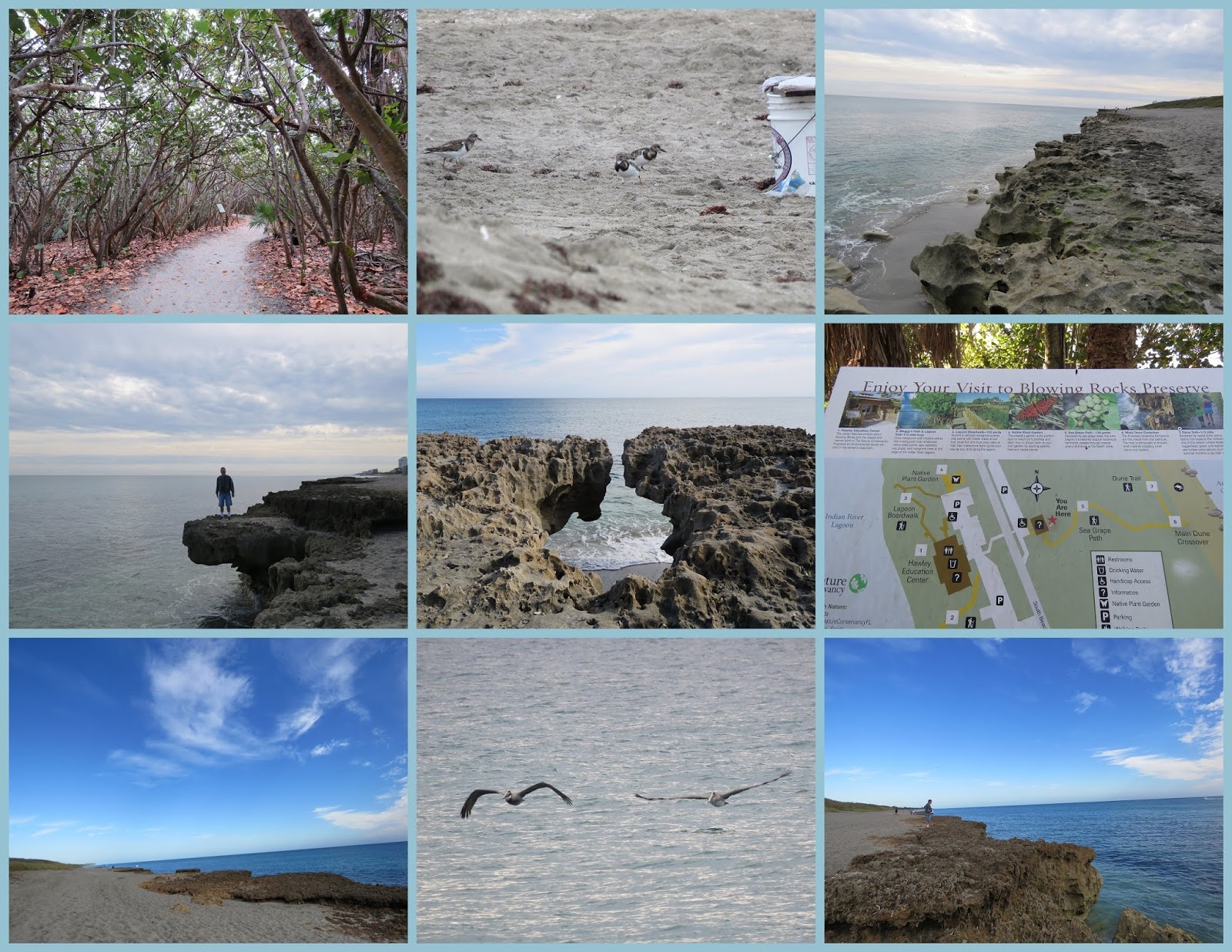 Viewing nature with Eileen: Blowing Rocks Preserve, Jupiter Florida