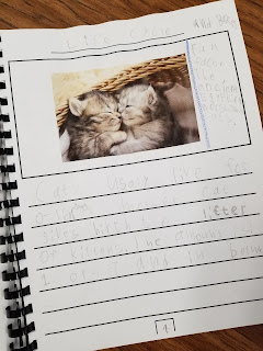 First Grade Starter Pack: Non-Fiction Animal Report