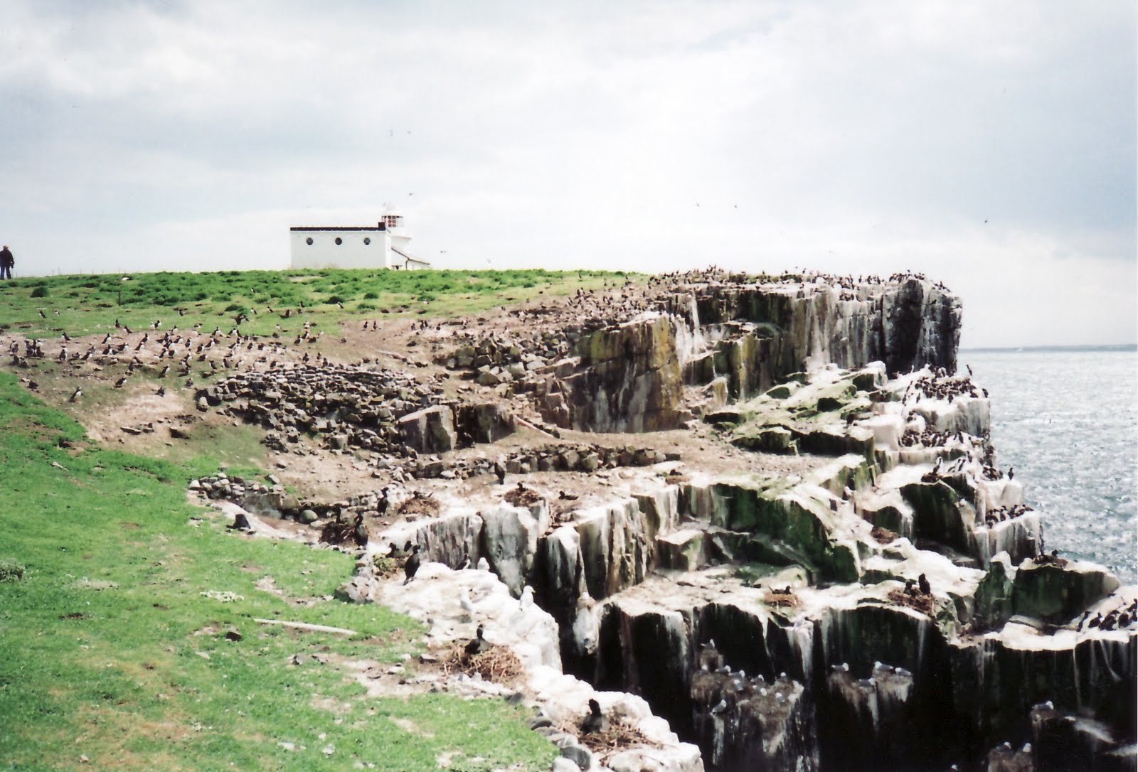 A lifetime of Islands: Island 108 - Inner Farne, Farne Isles ...