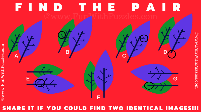 IQ Test Picture Riddle for Teens with Answer