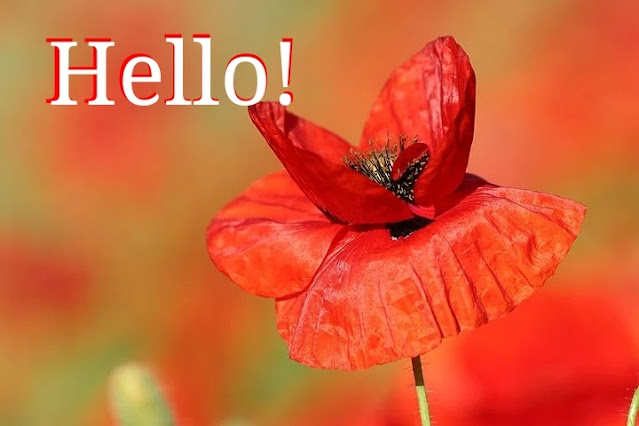 Top 10 Hello Images, Photos, Pictures, Greetings for WhatsApp - Good ...